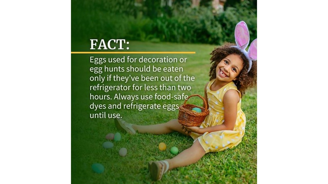 Harnett County Easter Egg Safety